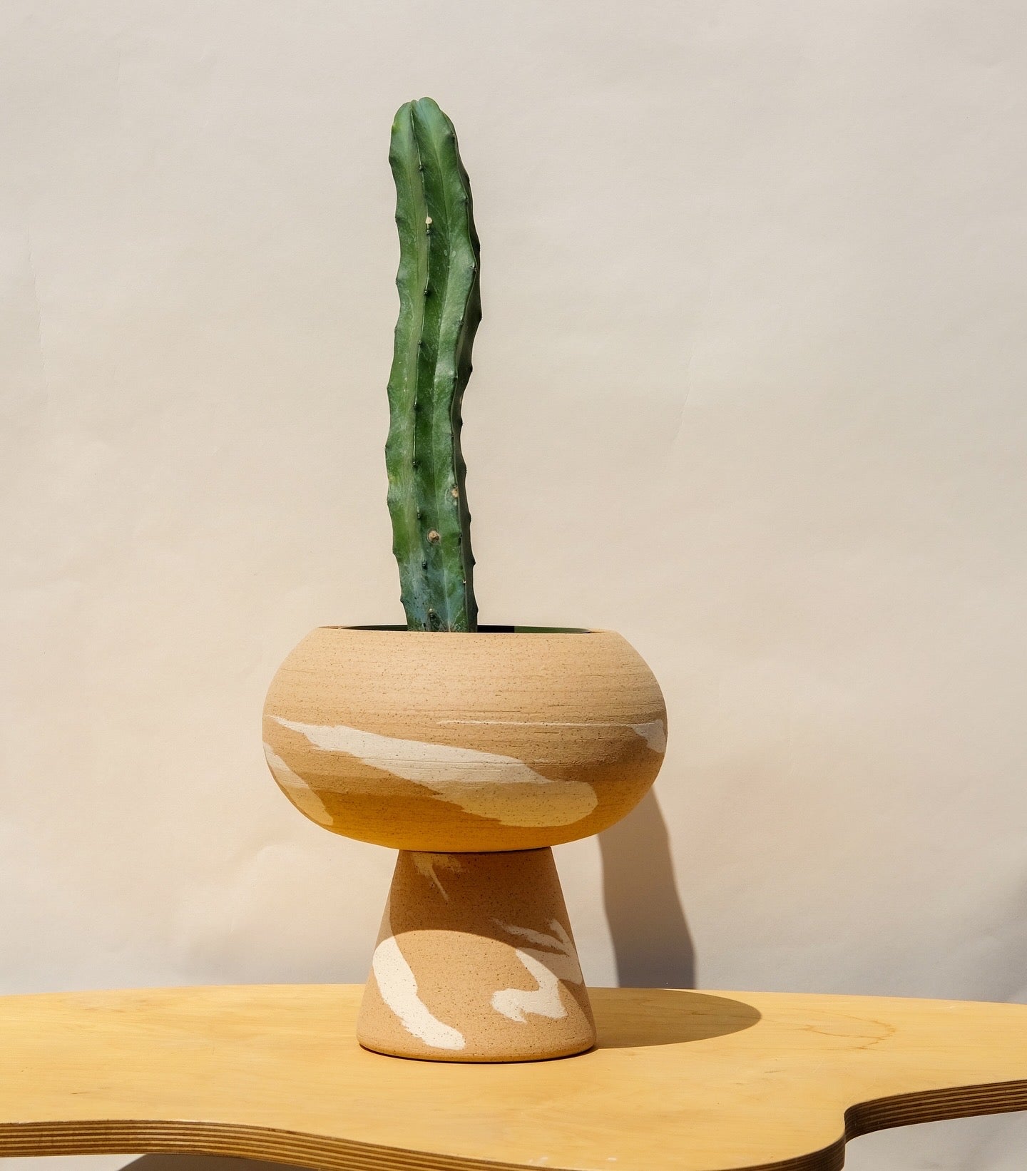 Desert Splash – Klei Ceramics